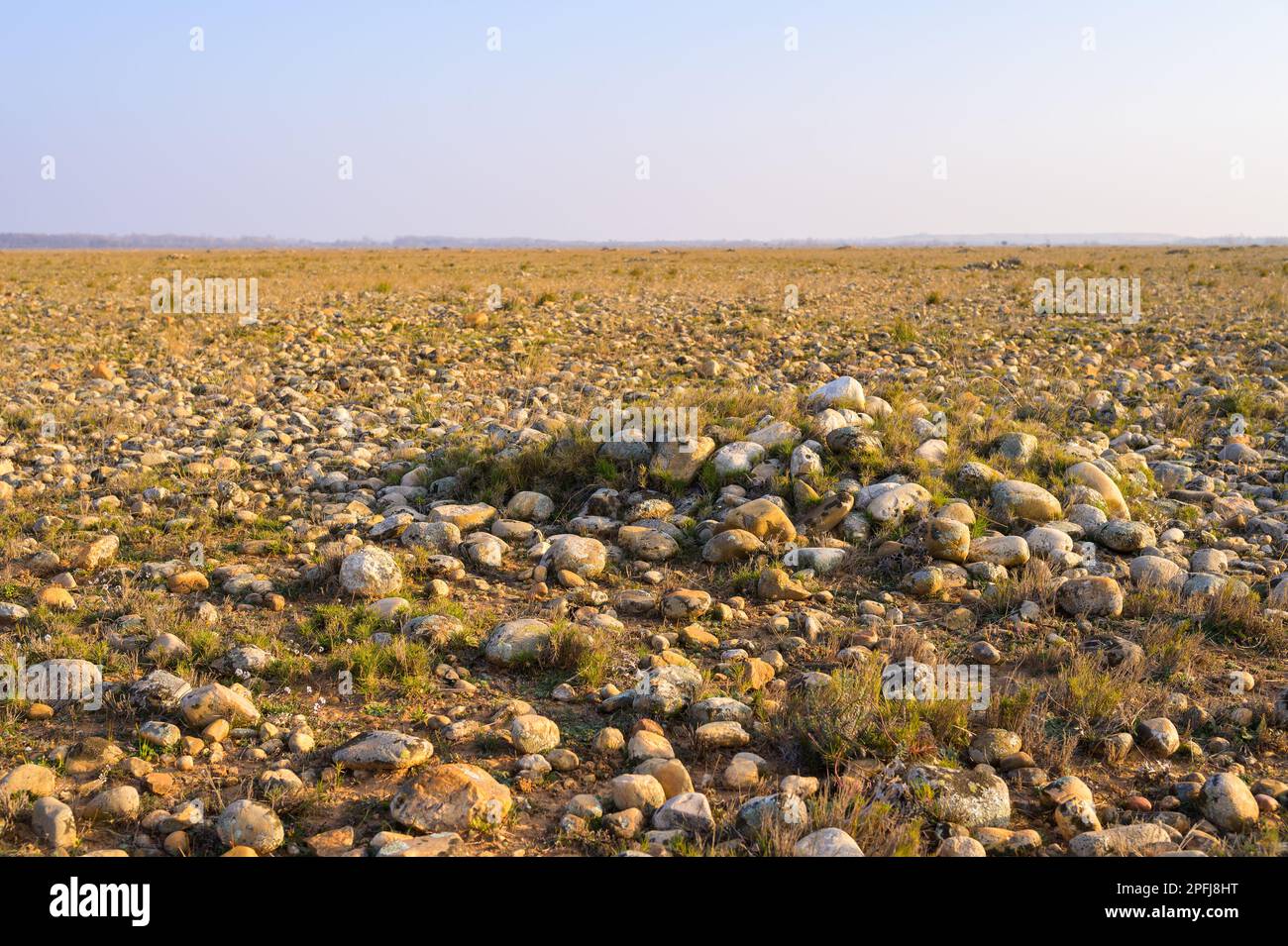 The Crau on a sunny morning in early spring. This dry region has been ...