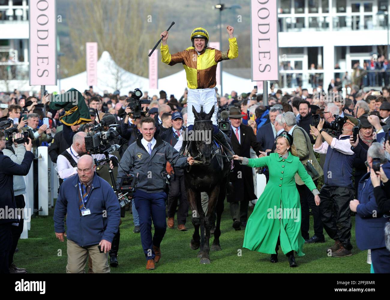 Galopin des champs cheltenham hi-res stock photography and images - Alamy