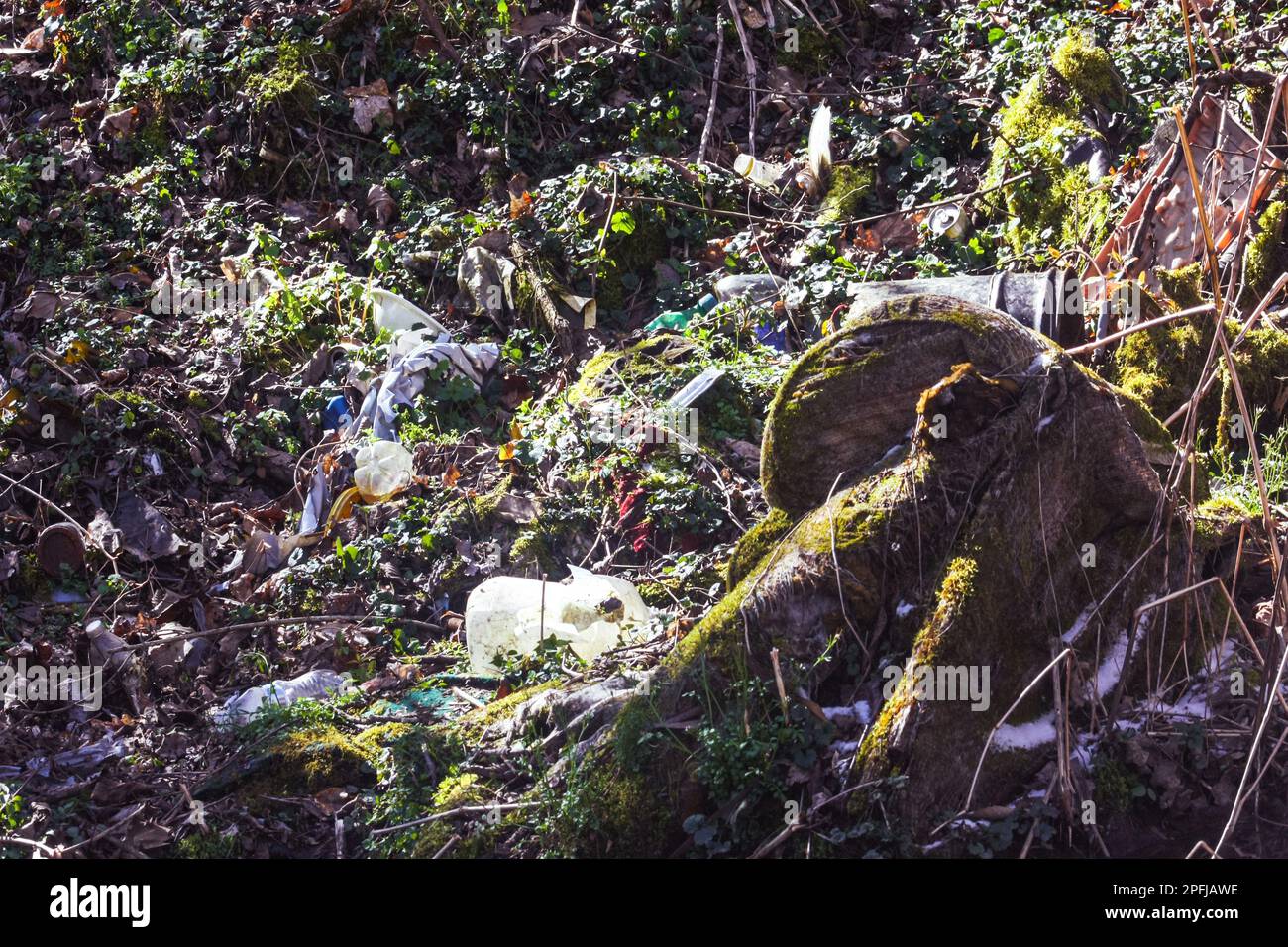 Pollution problem and garbage dumping in rural wooded area of southern ...