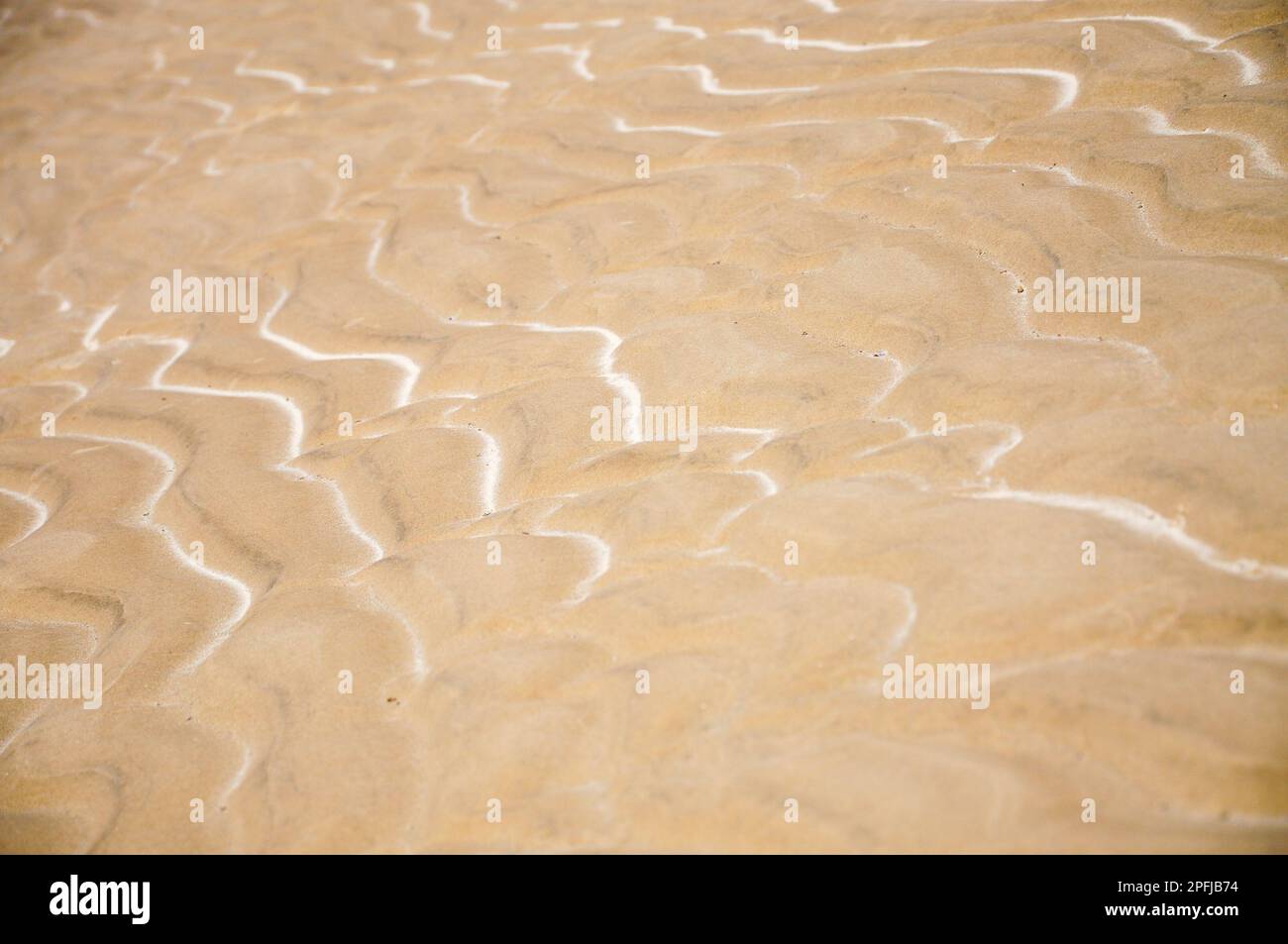 Textures in the form of lines in the sand on the beach, caused by the ...