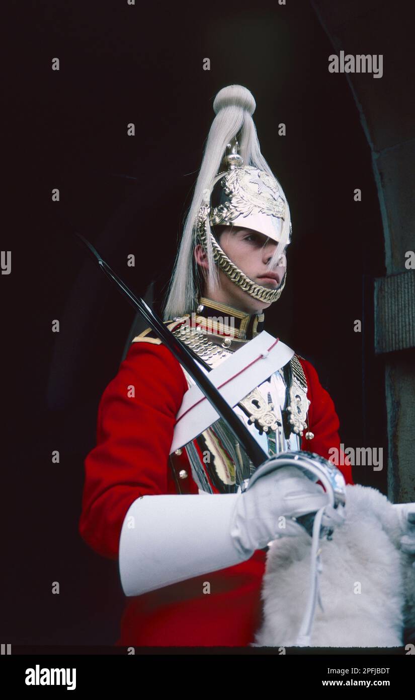 Queen's Horse Guard, London, England Stock Photo - Alamy