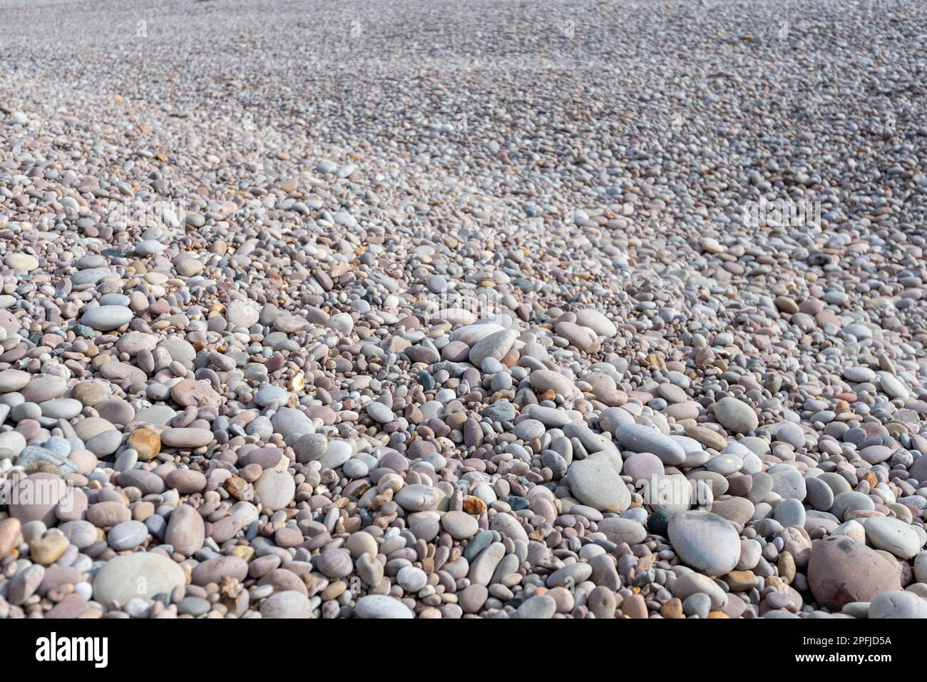 Pebbles on the beach Stock Photo - Alamy