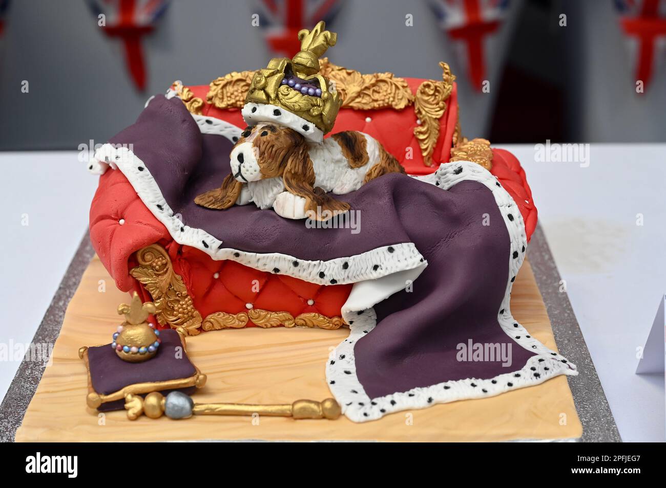 Cavalier king charles iii hi-res stock photography and images - Alamy