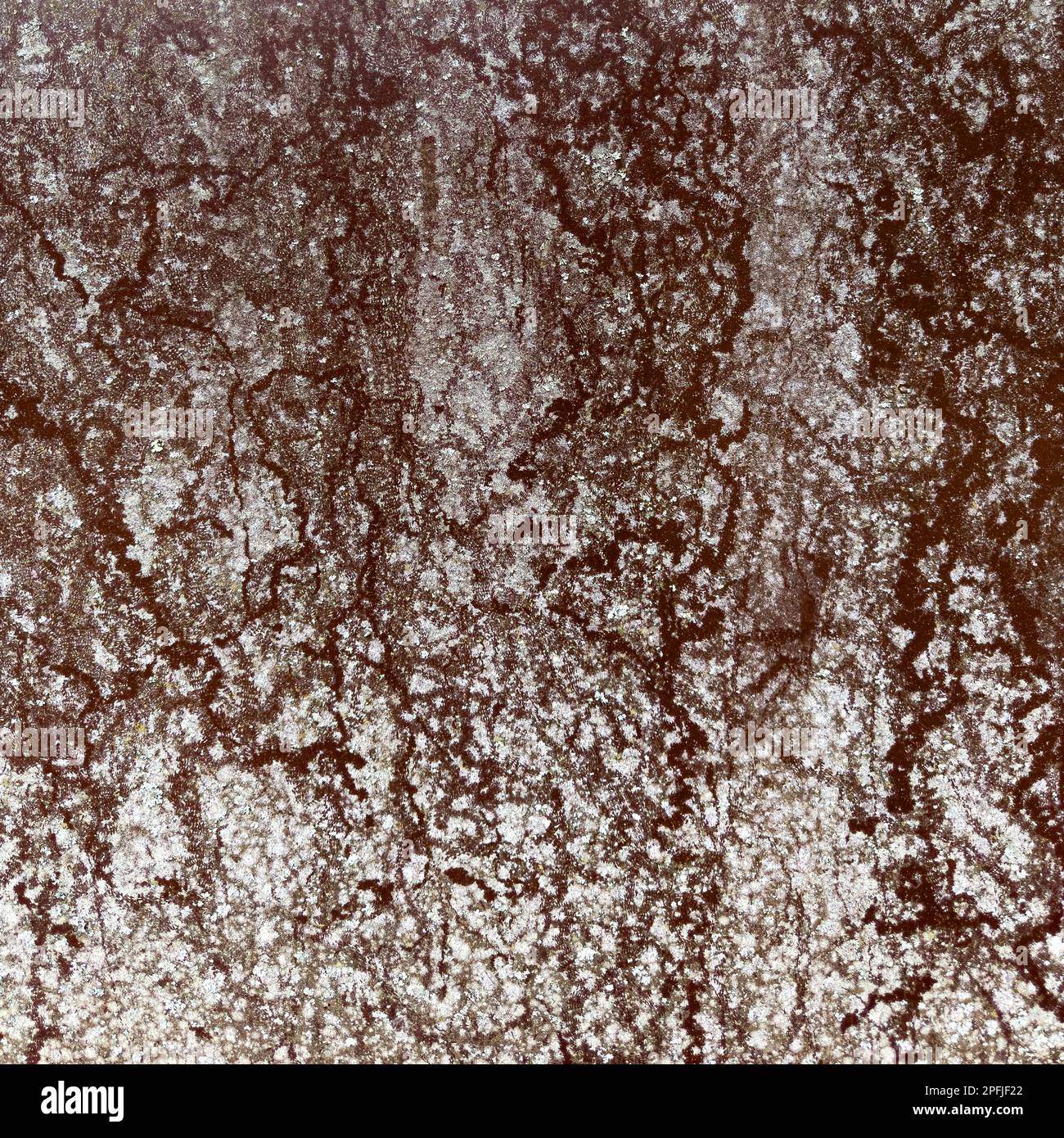Rivets on metal surface background painted brown Stock Photo - Alamy