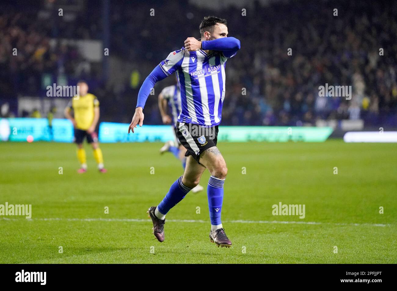 Sheffield Wednesday’s Lee Gregory celebrates after scoring their sides ...