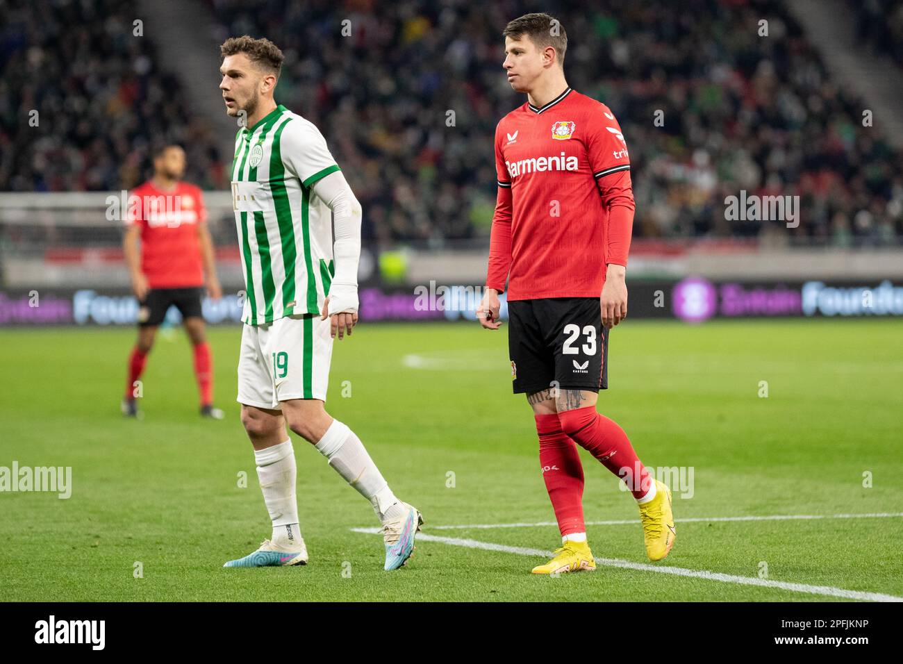 Balint vecsei hi-res stock photography and images - Alamy