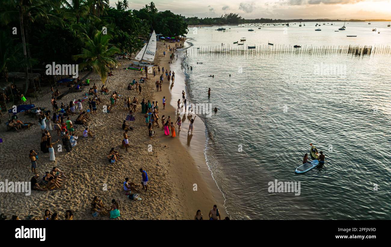 Tropical Paradise Beach Marau Barra Grande Village Mutá Bahia Nature ...