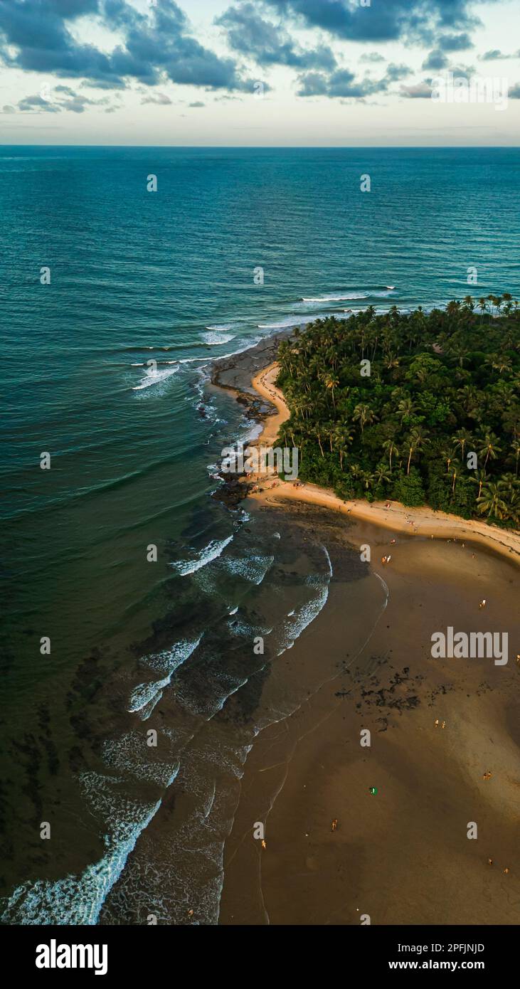 Tropical Paradise Beach Marau Barra Grande Village Mutá Bahia Nature ...