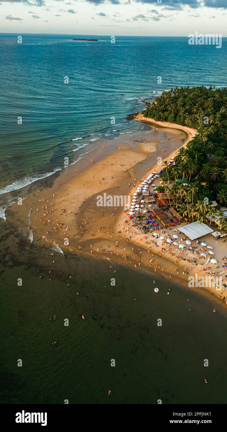 Tropical Paradise Beach Marau Barra Grande Village Mutá Bahia Nature ...