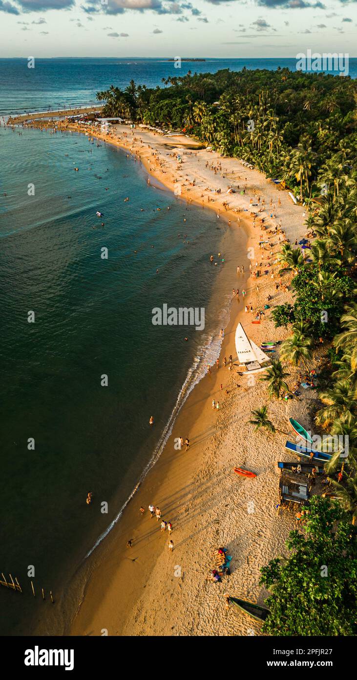 Tropical Paradise Beach Marau Barra Grande Village Mutá Bahia Nature ...