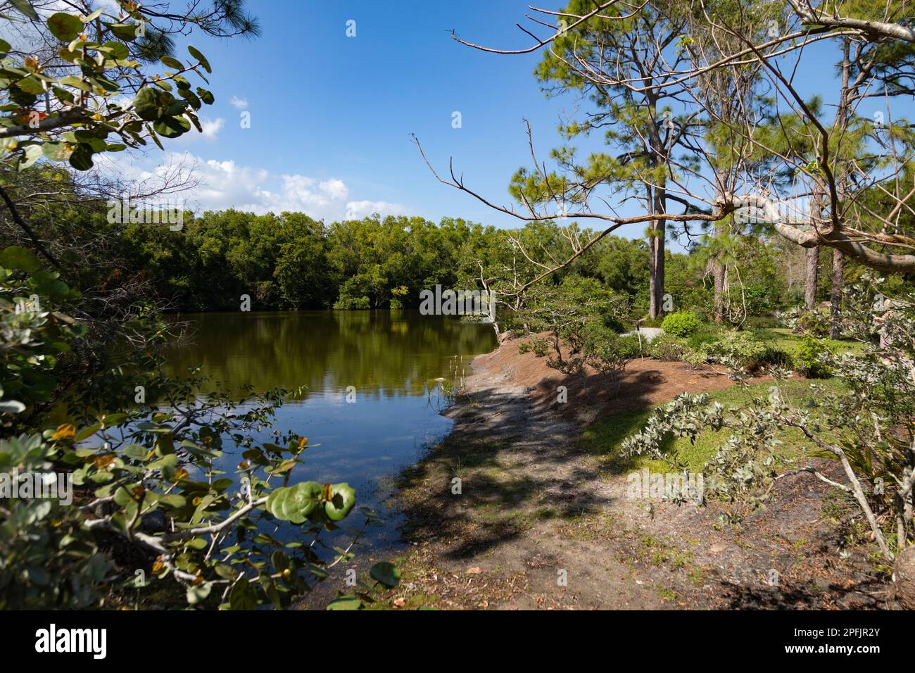 Landscaping with a pond at the Morikami Museum and Japanese Garden ...