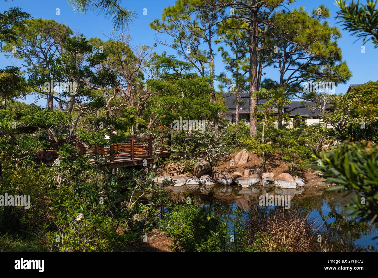 Japanese bridge over a pond at the Morikami Museum and Japanese Garden ...