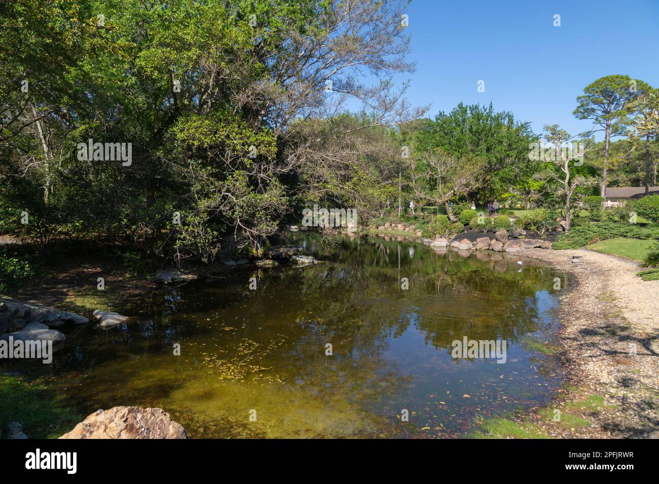Landscaping with a pond at the Morikami Museum and Japanese Garden ...