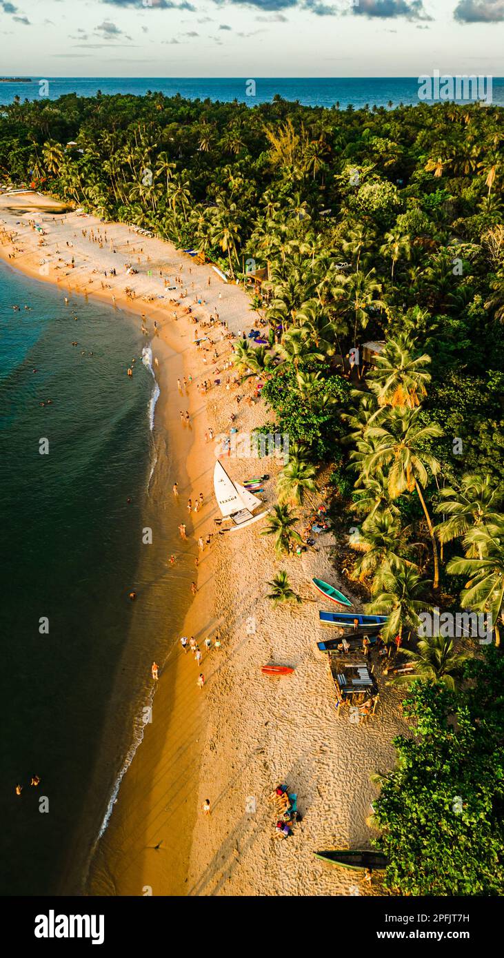 Tropical Paradise Beach Marau Barra Grande Village Mutá Bahia Nature ...