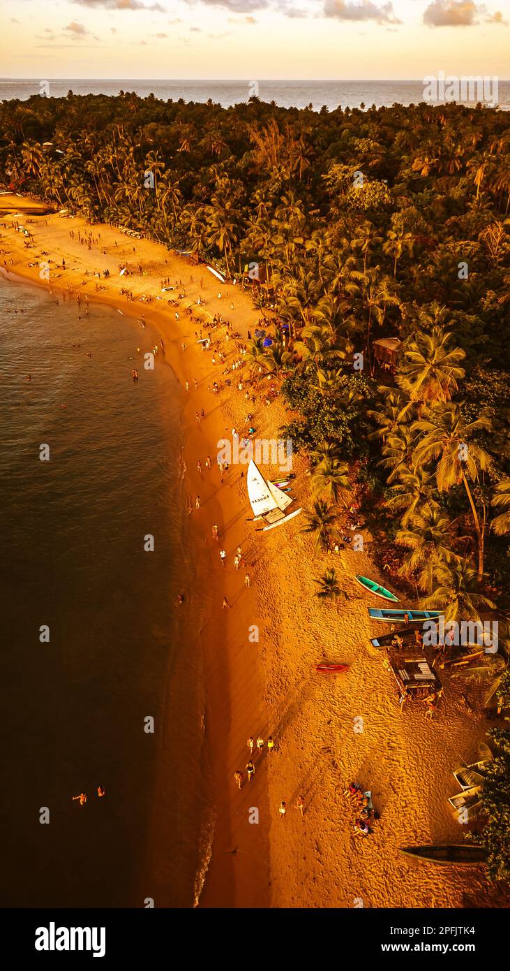 Tropical Paradise Beach Marau Barra Grande Village Mutá Bahia Nature ...