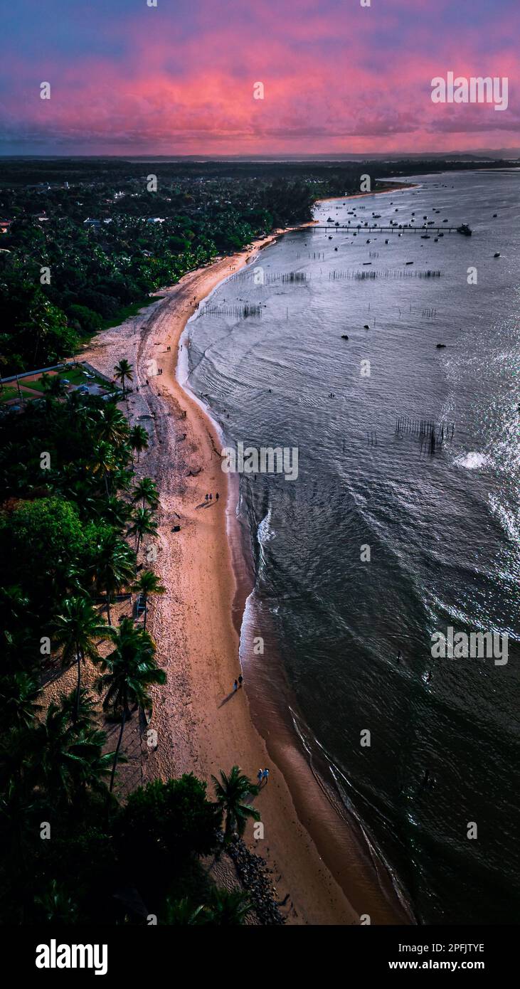 Tropical Paradise Beach Marau Barra Grande Village Mutá Bahia Nature ...