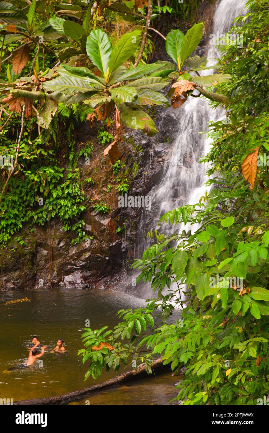 Malaysia, Langkawi, Durian Perangin waterfalls, jungle, forest Stock ...
