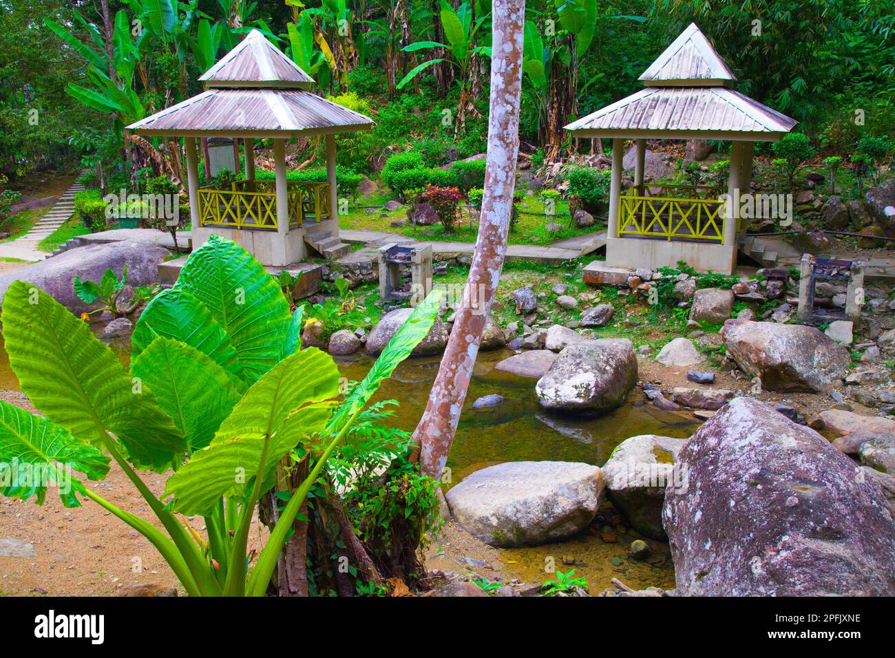 Malaysia, Langkawi, Durian Perangin waterfalls, jungle, forest Stock ...