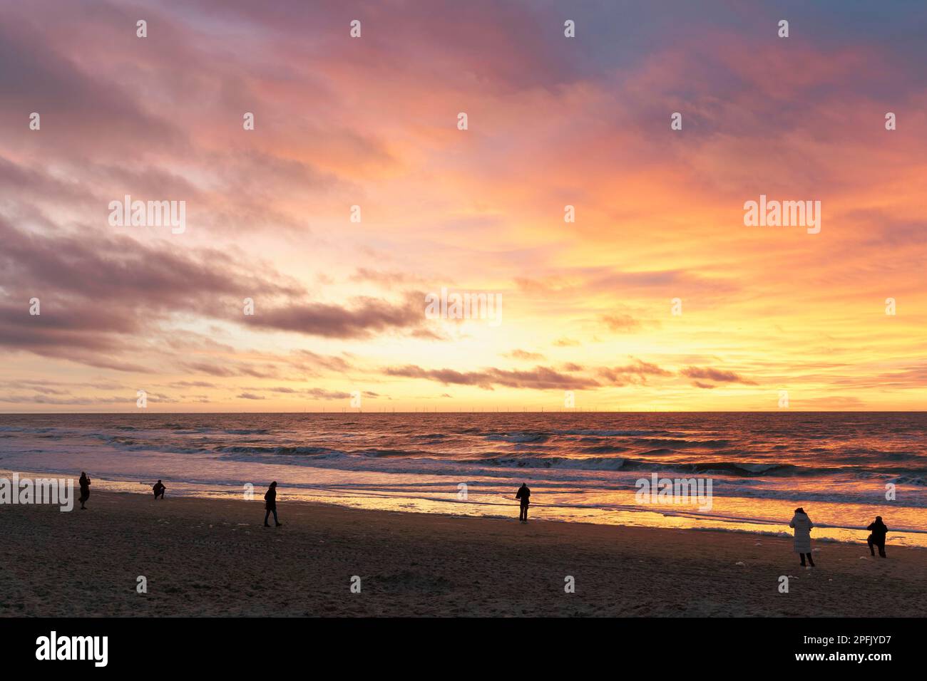 Individual tourists walking on the beach at sunset, Dutch North Sea ...