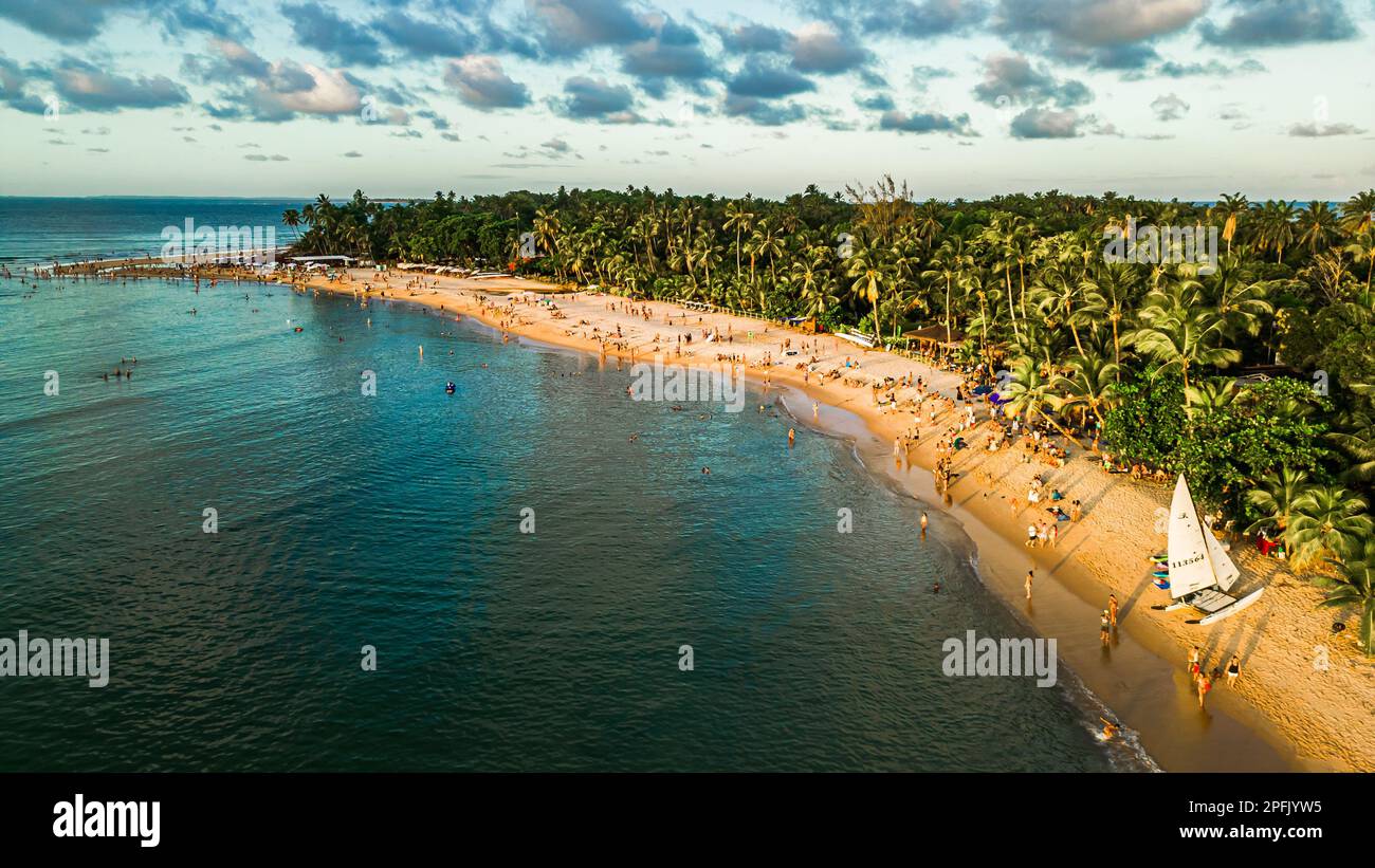 Tropical Paradise Beach Marau Barra Grande Village Mutá Bahia Nature ...
