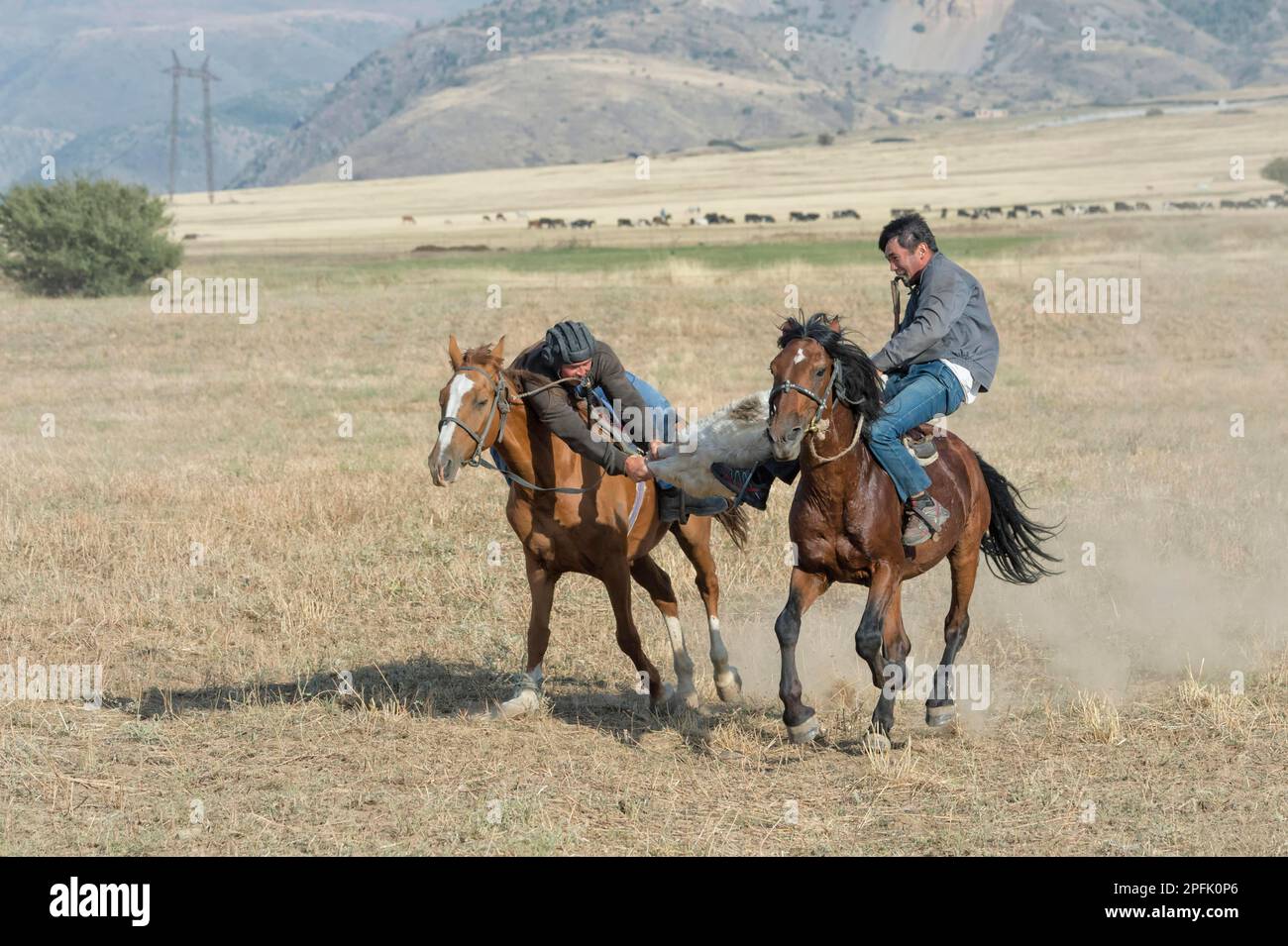 Traditional Kokpar or Buzkashi in the outskirts of Gabagly National ...