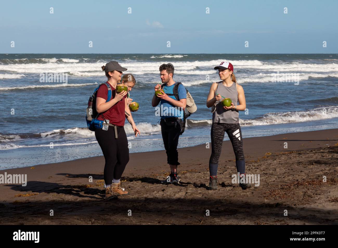 Tortuguero, Costa Rica - Tourists drink coconut water from green ...