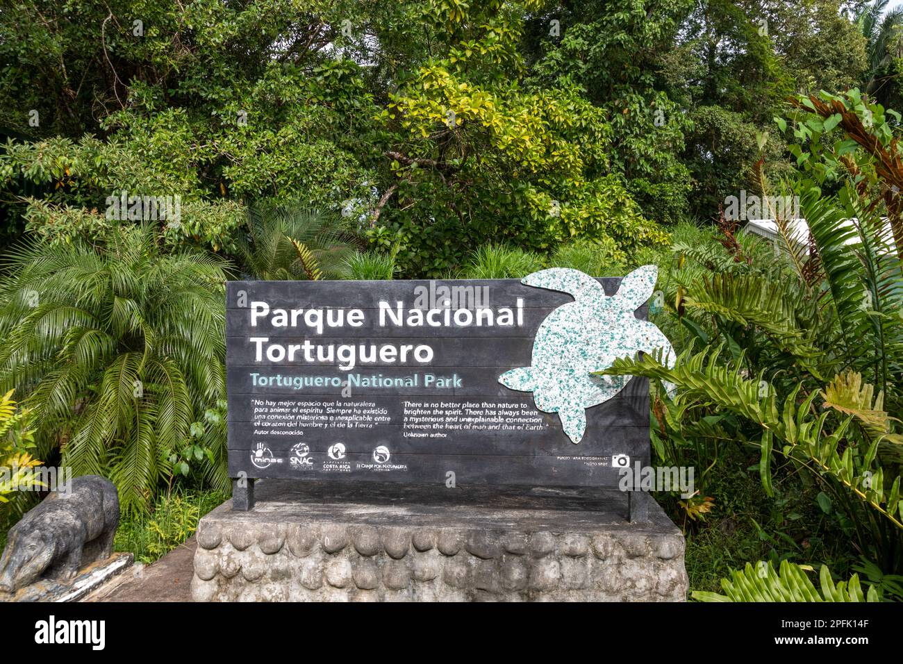 Leatherback turtles hi-res stock photography and images - Alamy