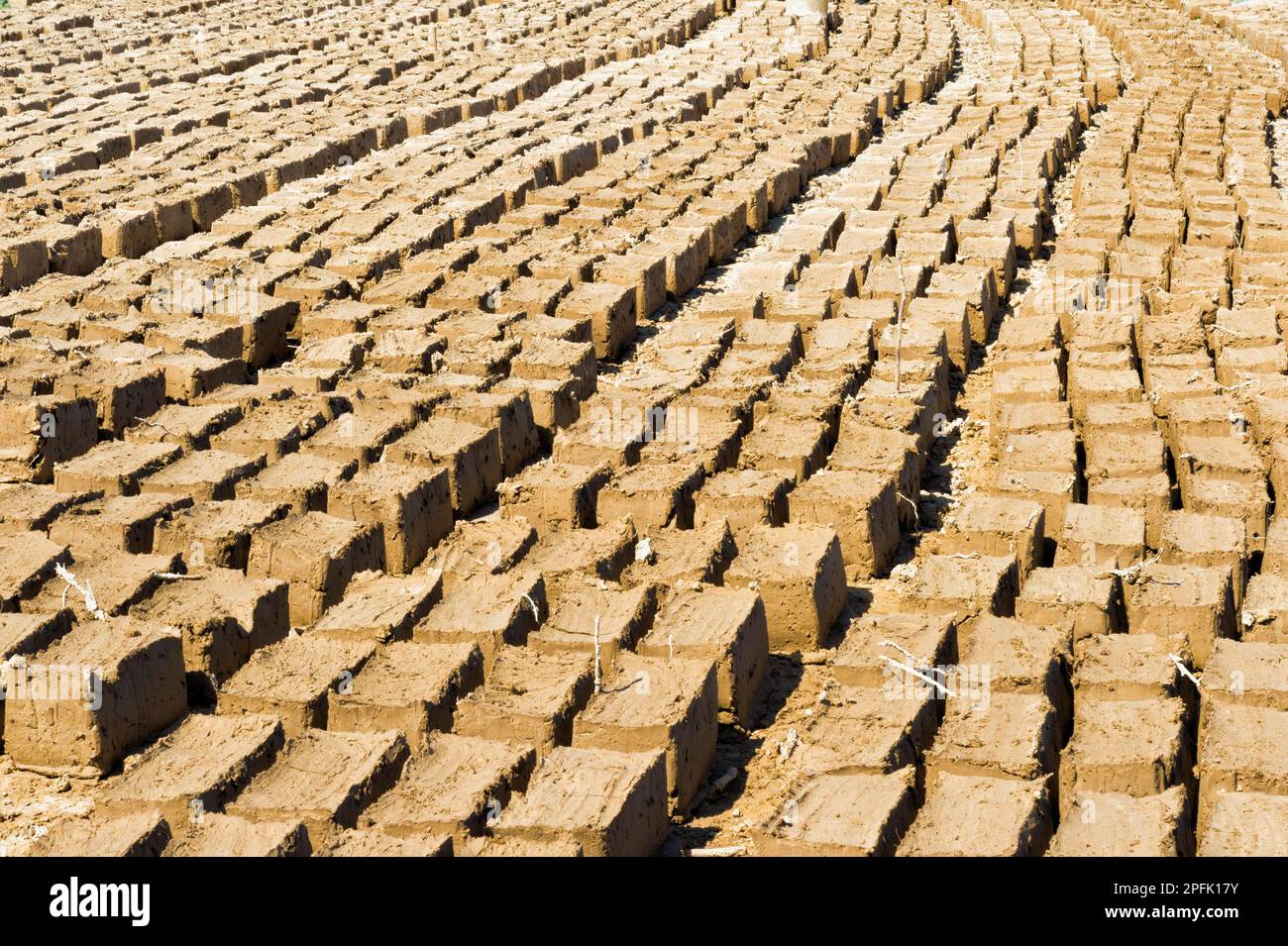 Clay brick, pattern, Turkistan, southern region, Kazakhstan Stock Photo ...