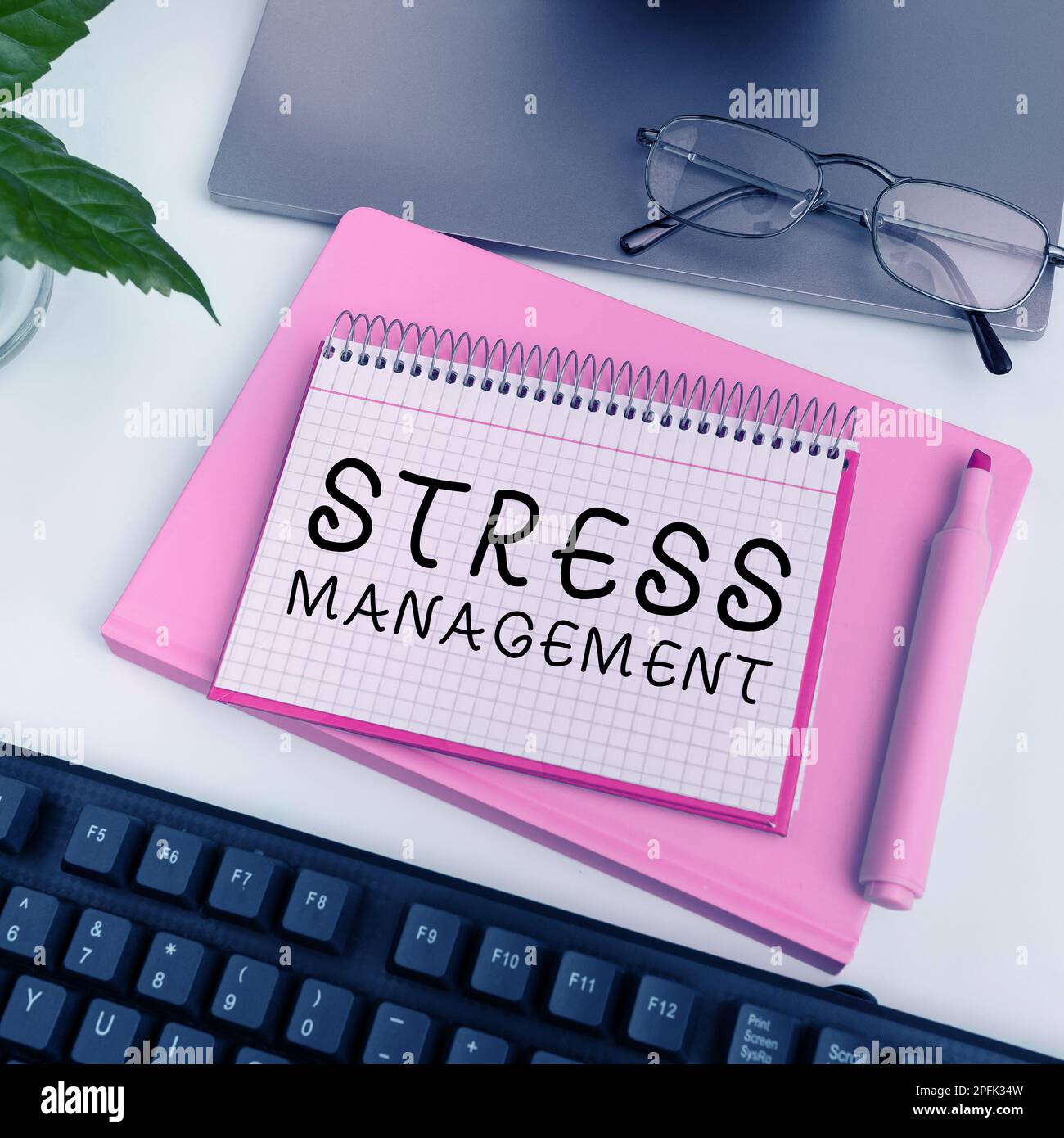 Conceptual caption Stress Management. Business overview learning ways ...