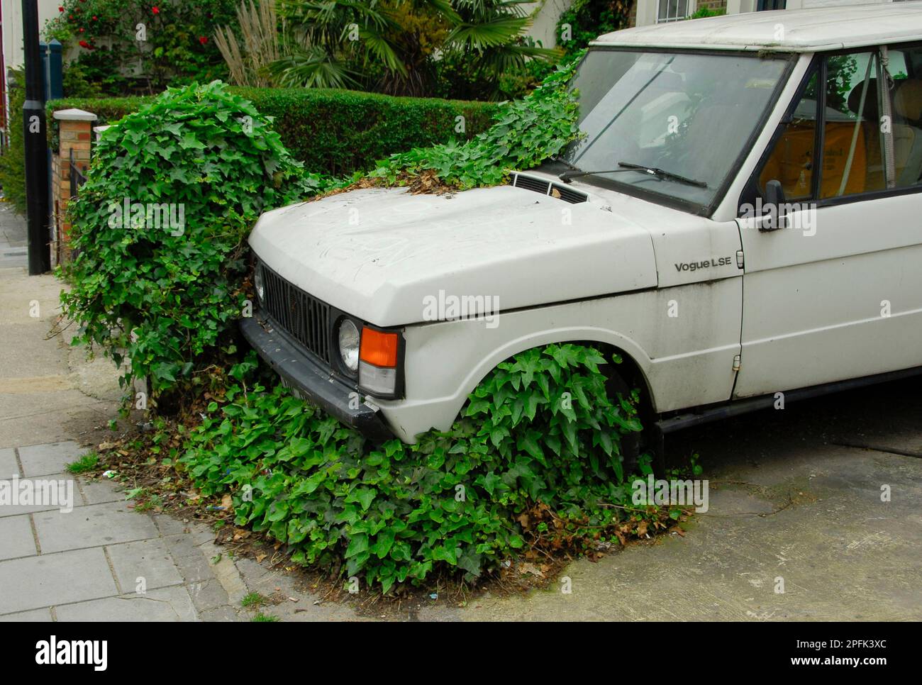 Ivy (Hedera helix) climbing over an old Land Rover in town, Chiswick ...
