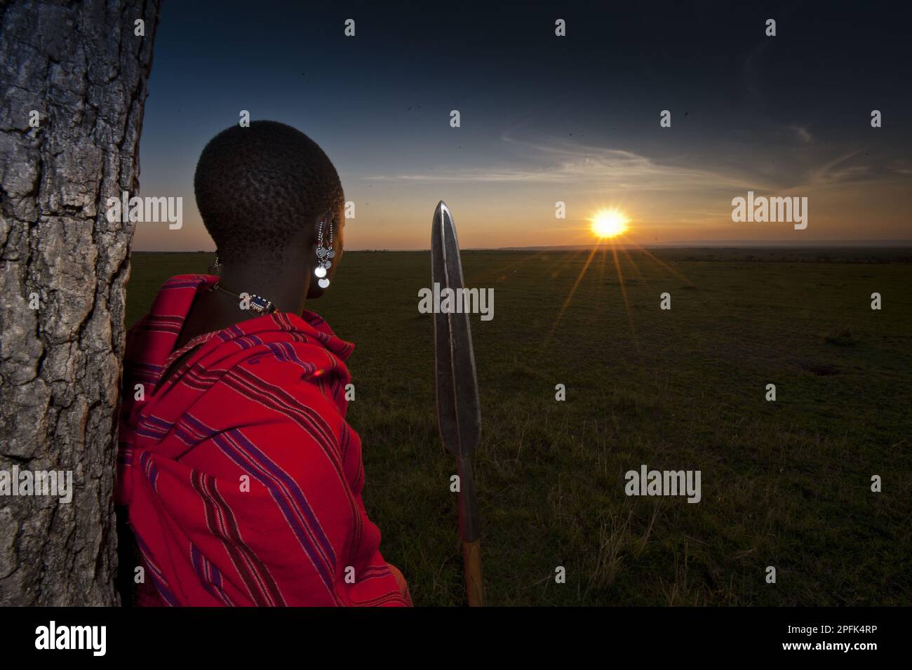Masai tribesman with spear, view over the grassland at sunset, Masai ...