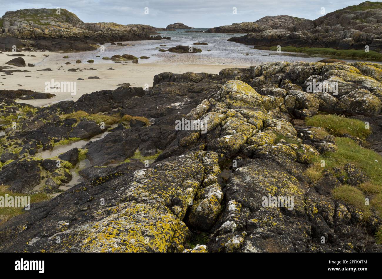 View of lichen covered rocks and beach, near Cornaig Bay, Coll, Inner ...