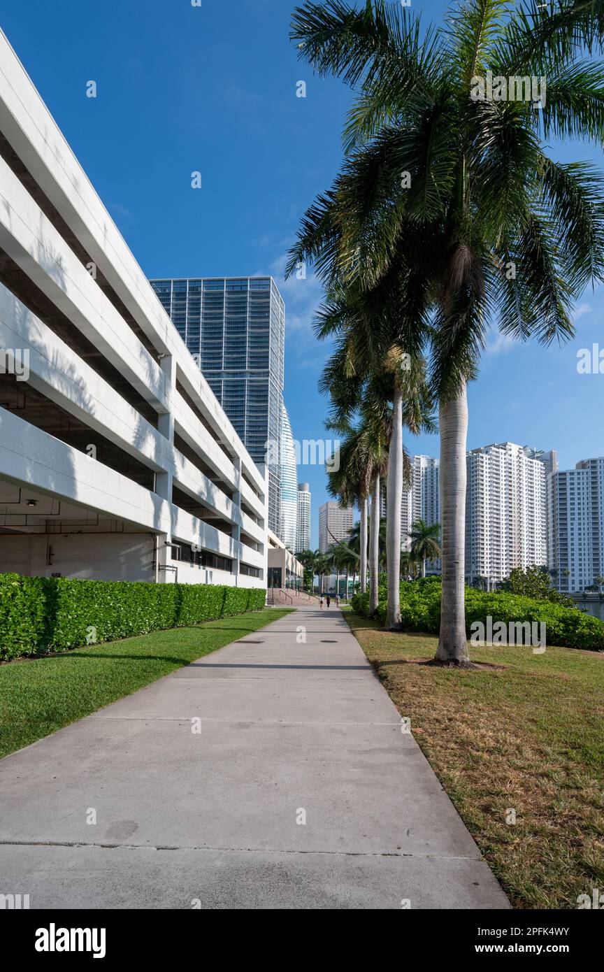 Brickell Bay Walk and surrounding buildings on clear sunny morning in ...
