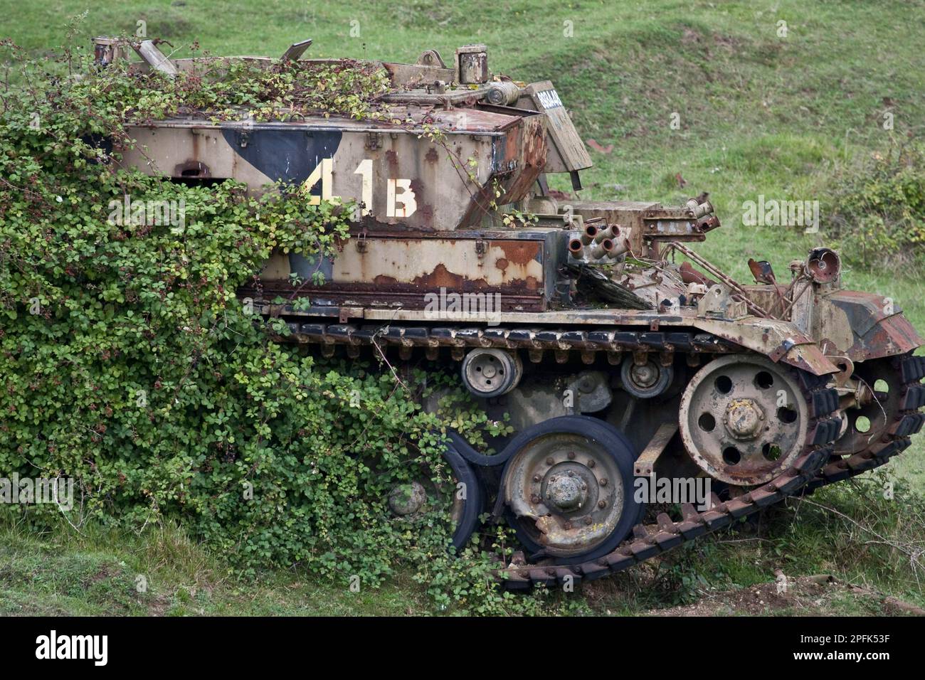 Tank target on military firing range, overgrown with brambles (Rubus ...