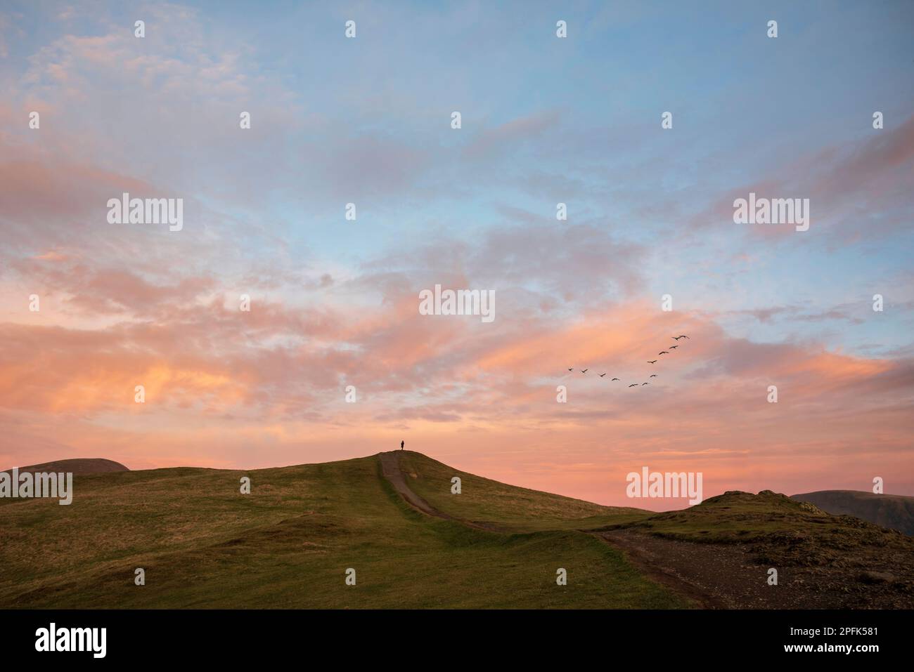 Single perosn hi-res stock photography and images - Alamy