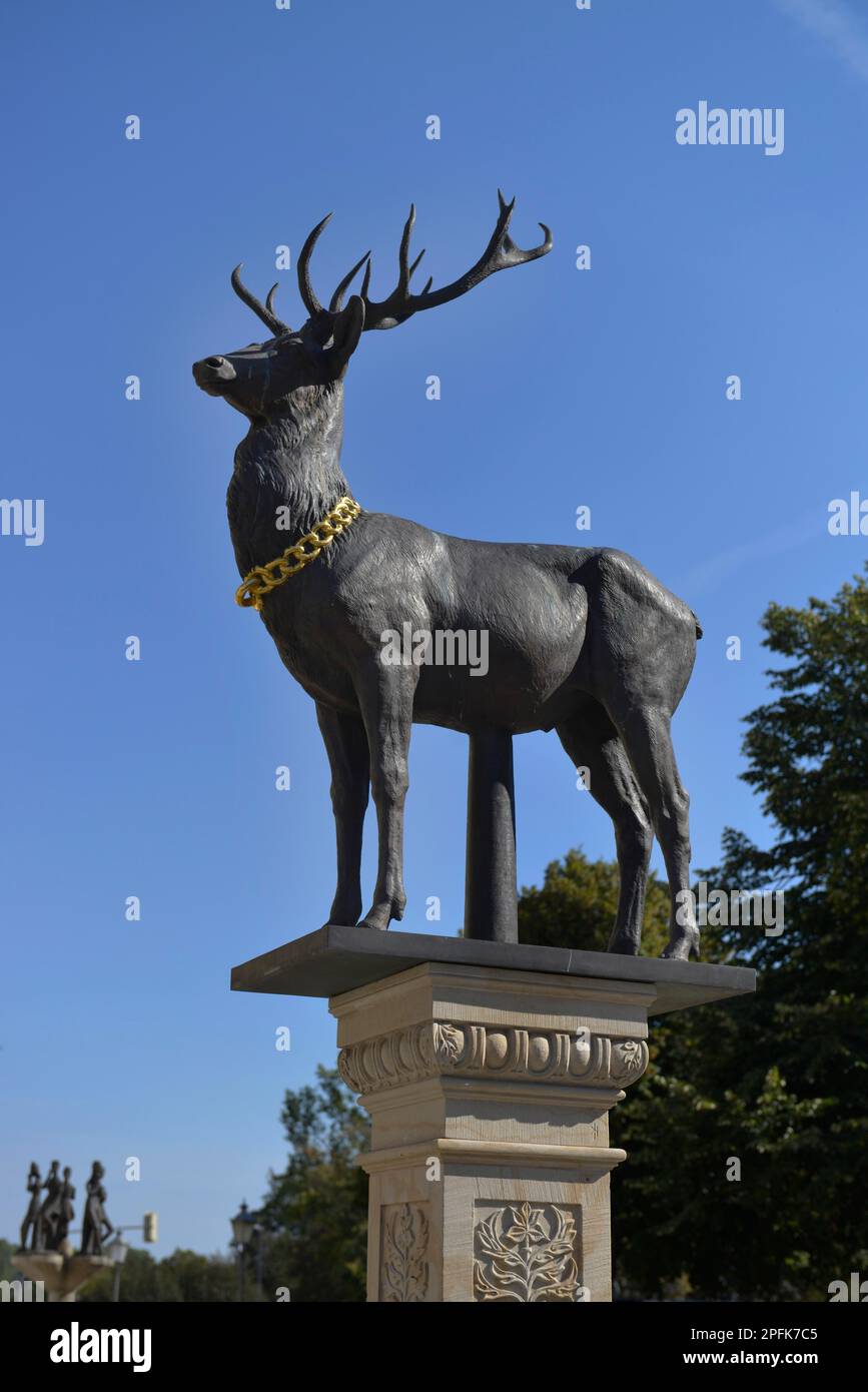 Stag column hi-res stock photography and images - Alamy