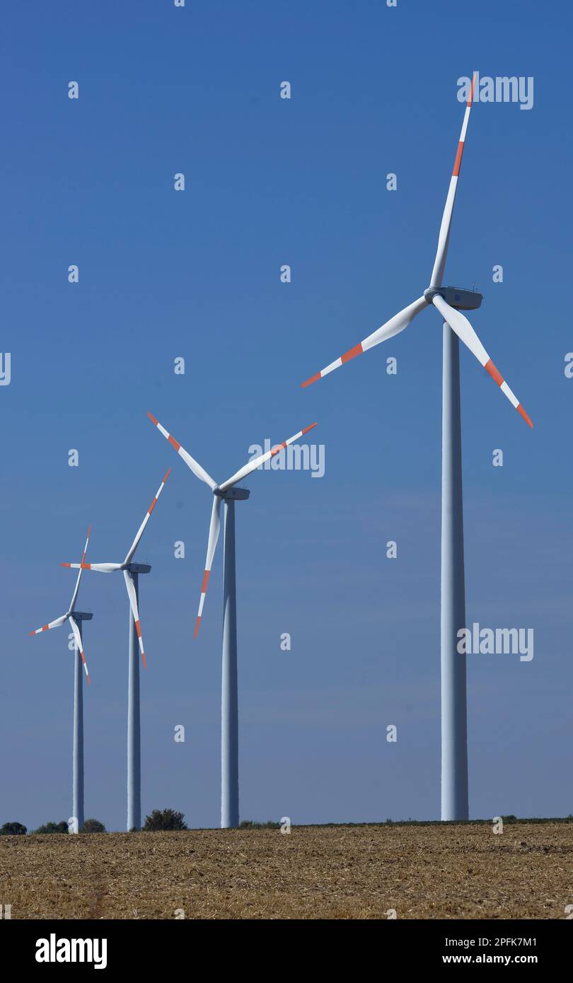 Wind energy field, Magdeburger Boerde, Saxony-Anhalt, Germany Stock ...