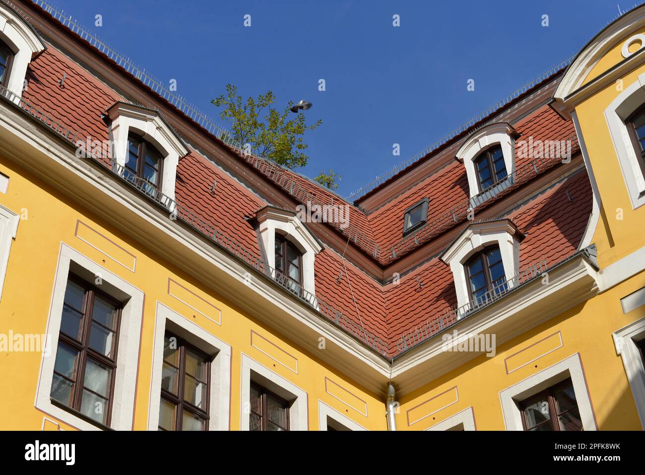 Bach museum leipzig germany hi-res stock photography and images - Alamy