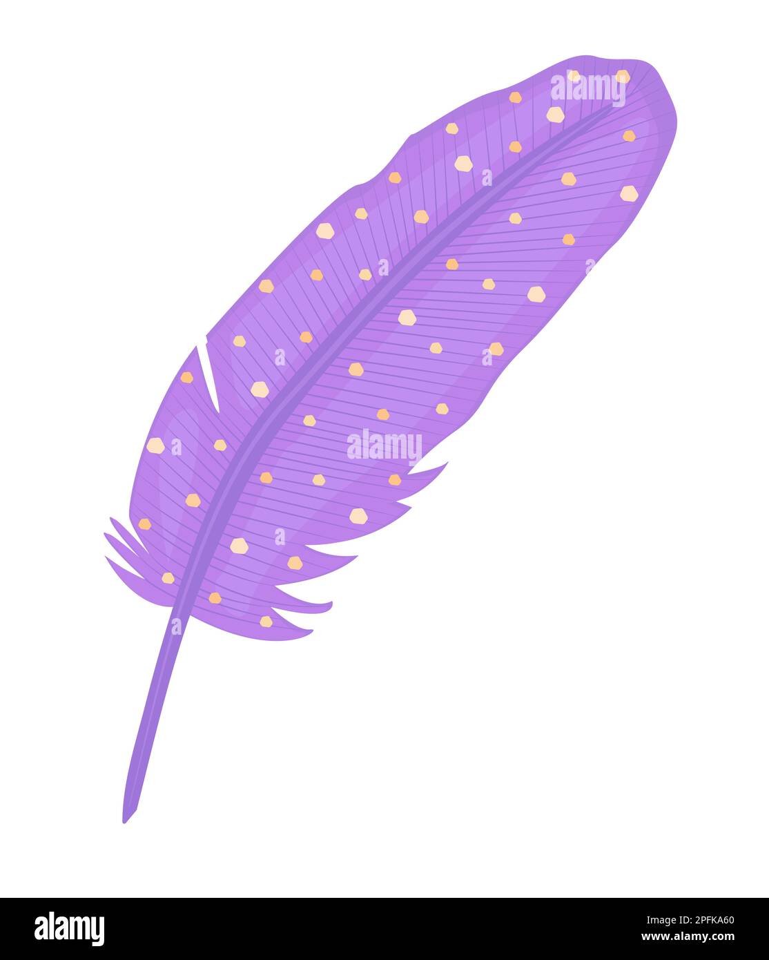 Colorful Single Feather