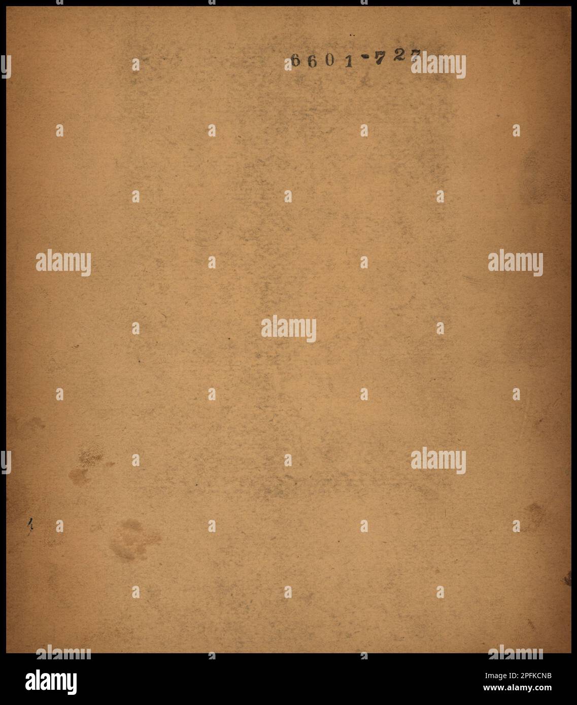 Maori man polynesian type hi-res stock photography and images - Alamy