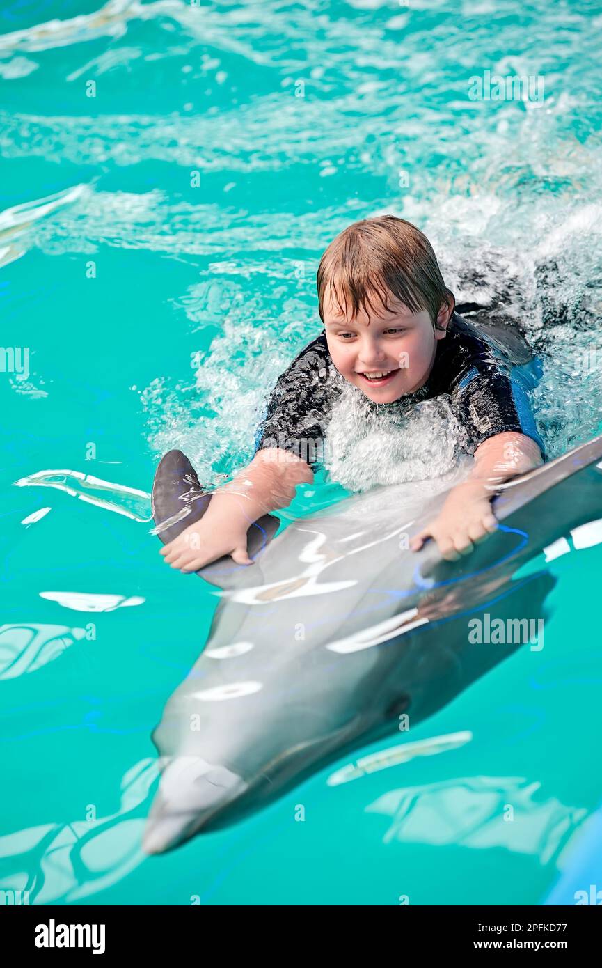 Dolphin suit hi-res stock photography and images - Alamy