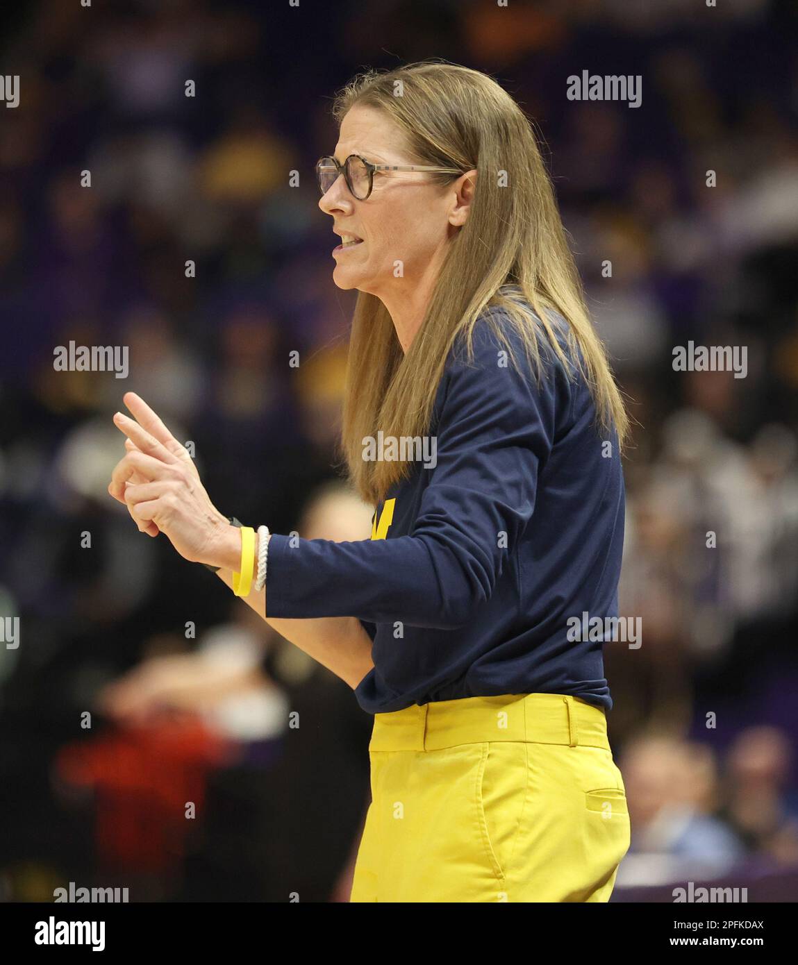 Baton Rouge, USA. 17th Mar, 2023. Michigan Wolverines head coach Kim ...