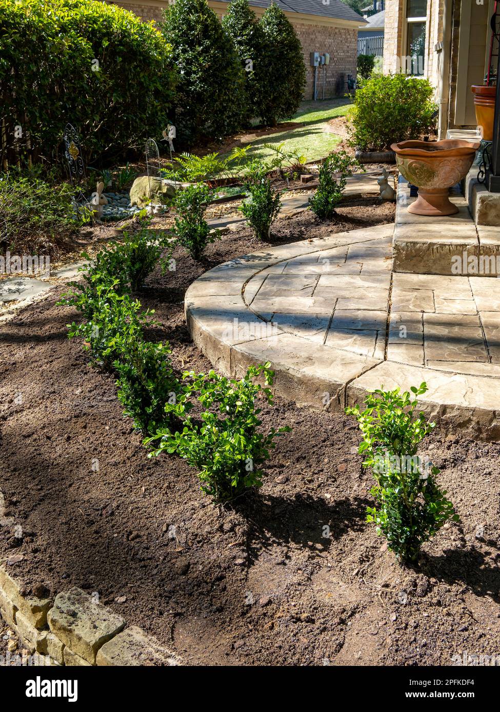 Boxwood hi-res stock photography and images - Alamy