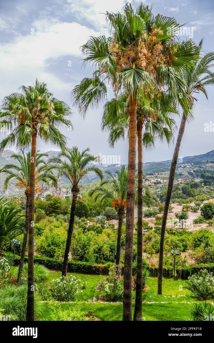 Valencia spain countryside hi-res stock photography and images - Alamy