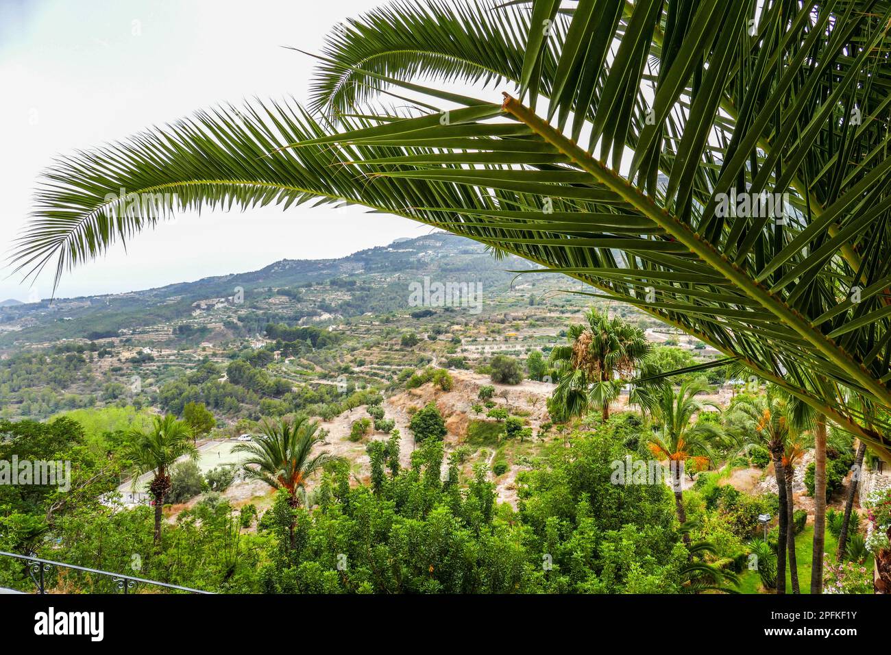 Valencia countryside hi-res stock photography and images - Alamy