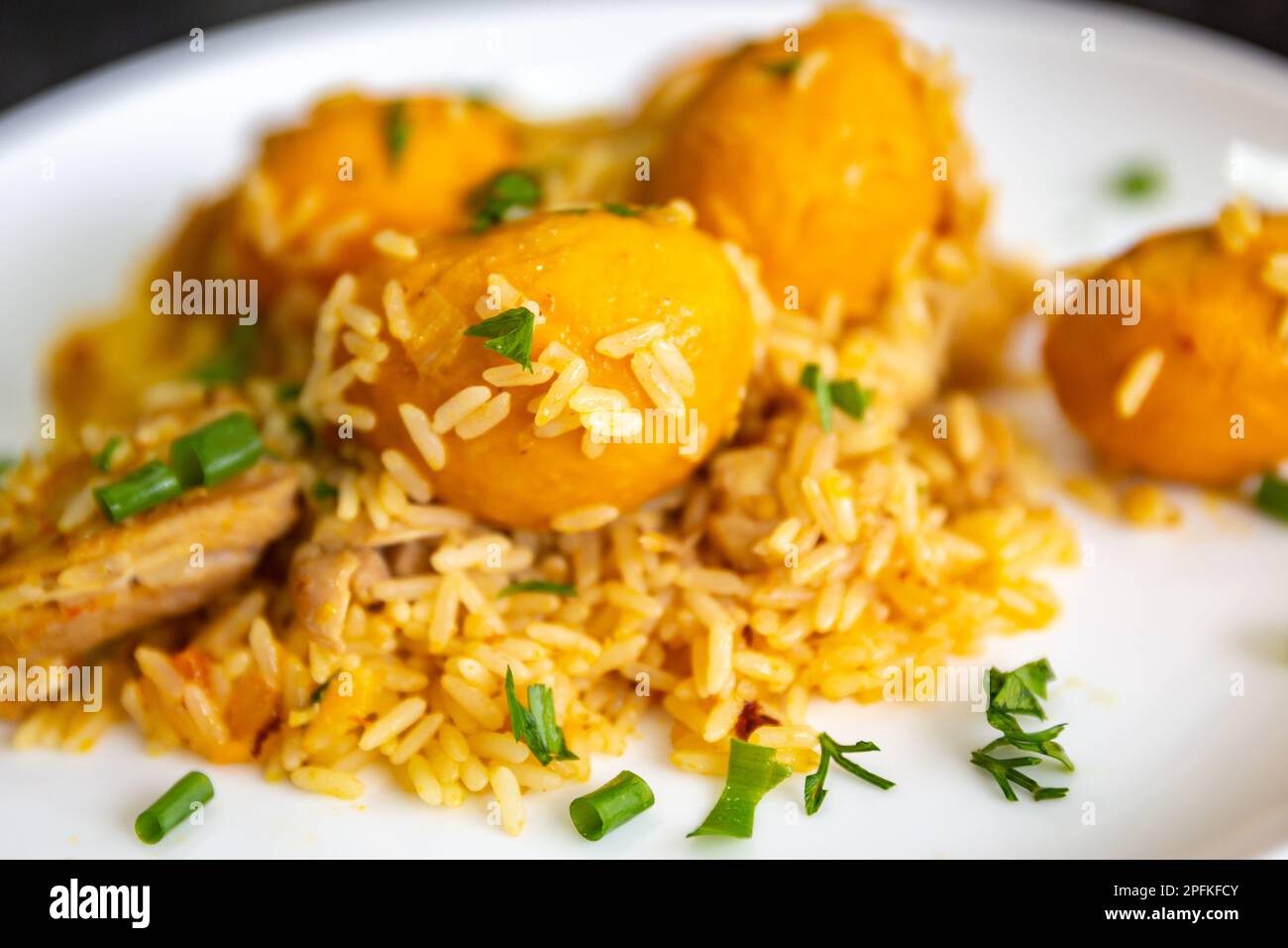 Traditional Brazilian delicacy, rice with chicken and pequi (Caryocar ...