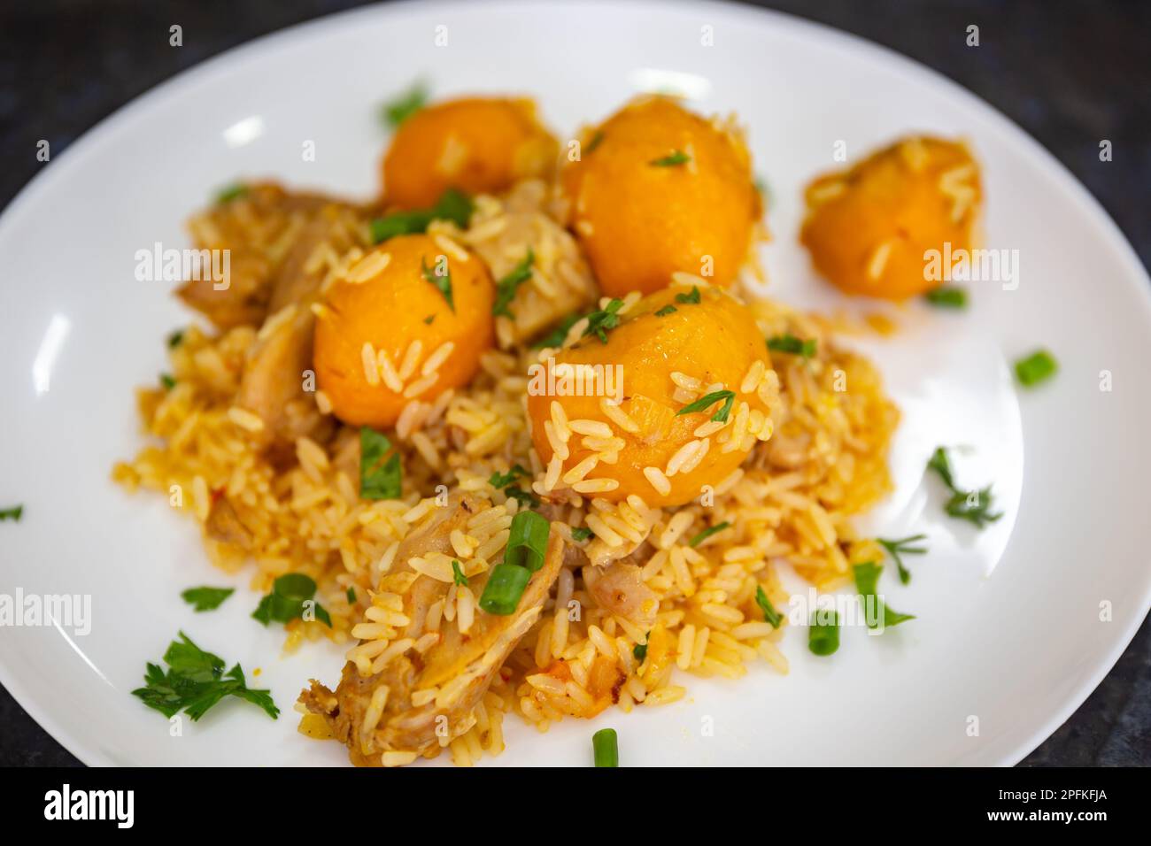 Traditional Brazilian delicacy, rice with chicken and pequi (Caryocar ...