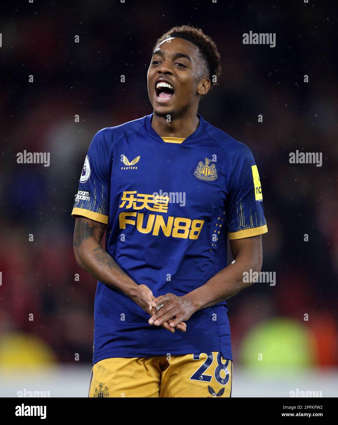 Newcastle United's Joe Willock celebrates after the Premier League ...