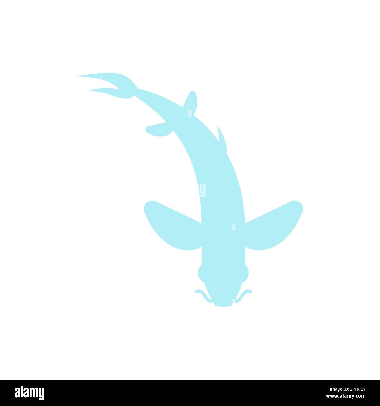 Chinese fish carp top view icon sign isolated. Vector illustration ...