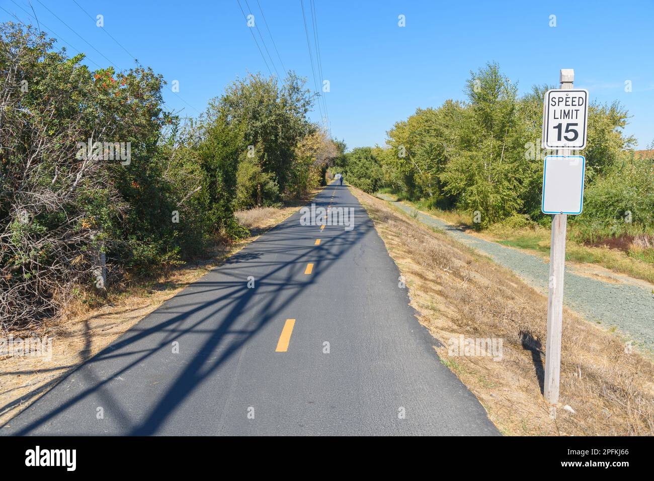 Bicycle and pedestrian path lined with trees on a sunny autumn day. A ...